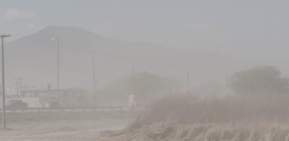 Techos volados, cortes de luz y árboles caídos por el viento Zonda en ...